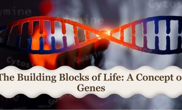 The Building Blocks of Life: Deep Dive into the Concept of Genes